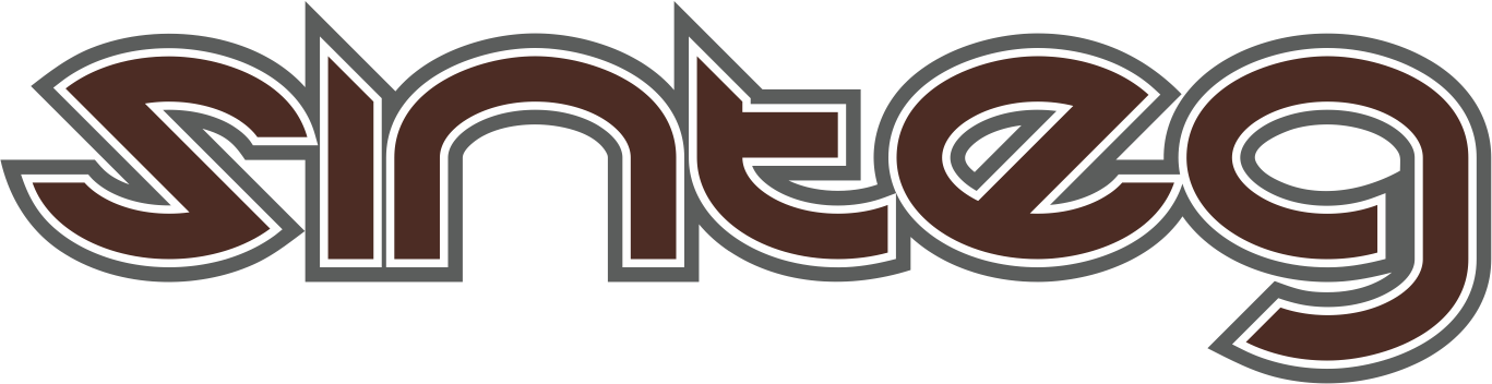Logo Sinteg